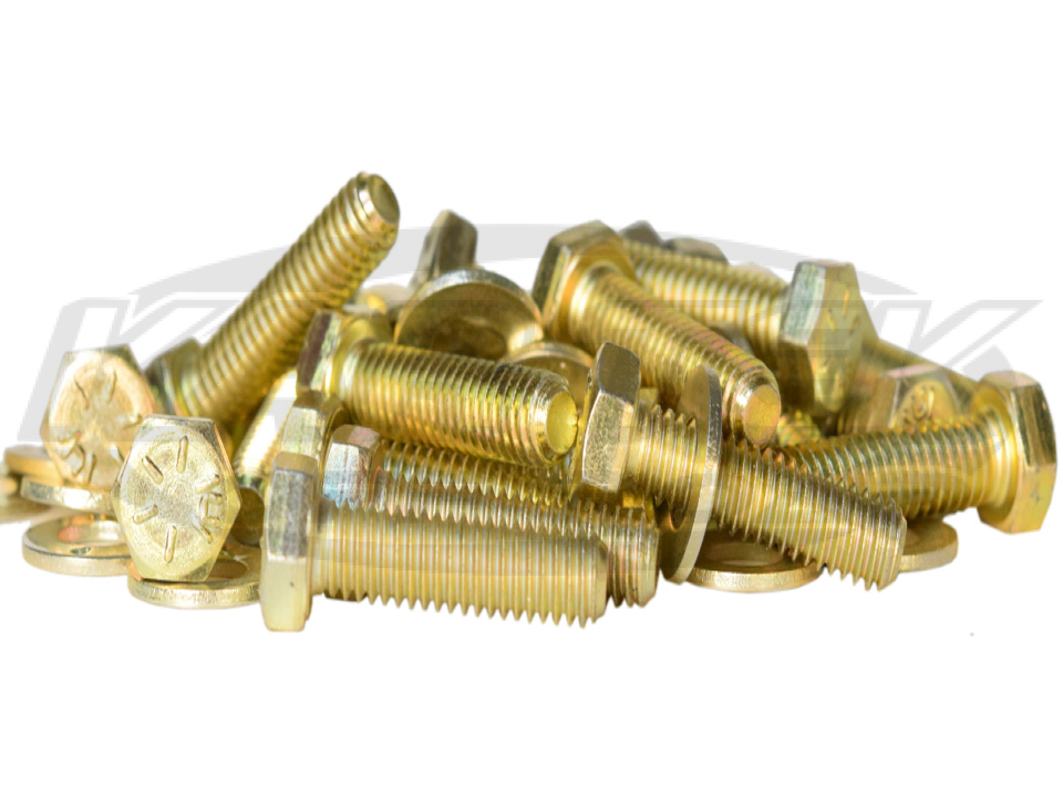 Replacement 5/16"-18 x 1-1/4" EMPI or BTR Beadlock 24 Piece Hardware ...