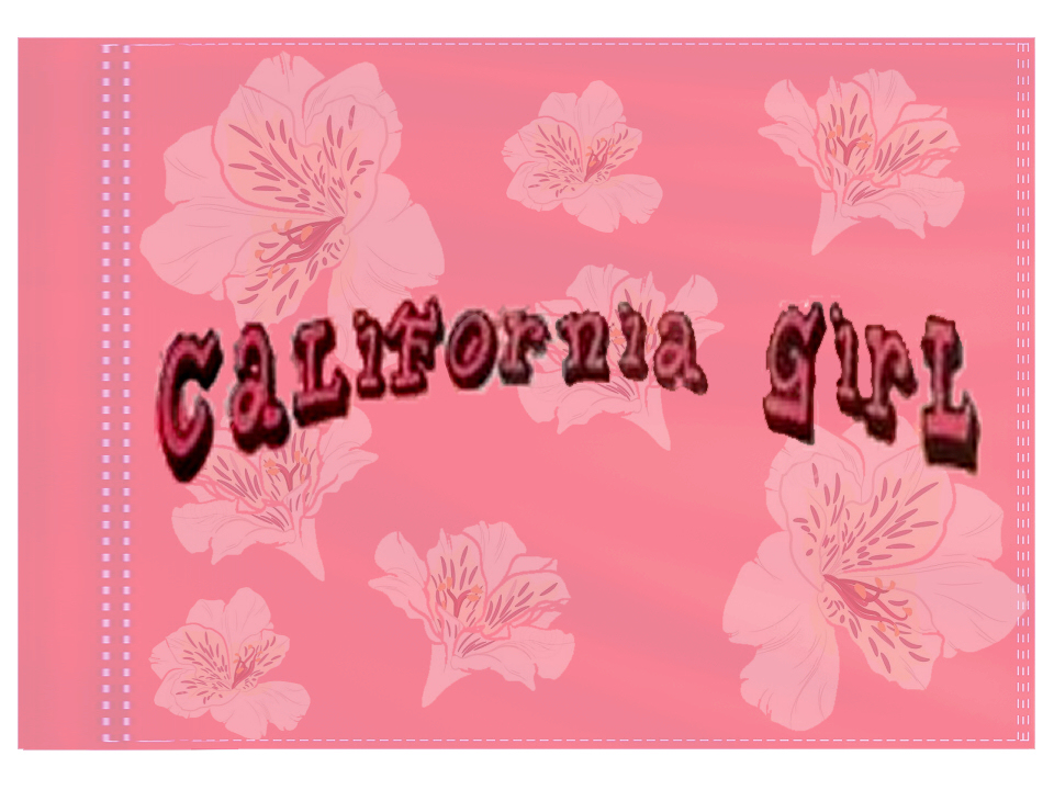 Stiffy Small 12 Inch Tall 18 Inch Wide Replacement Pink California Girl ...