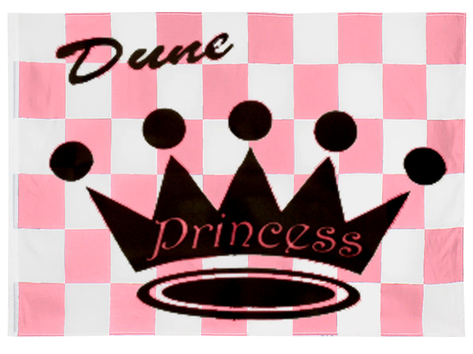 Stiffy Small 12 Inch Tall 18 Inch Wide Replacement Pink Checkered Dune ...