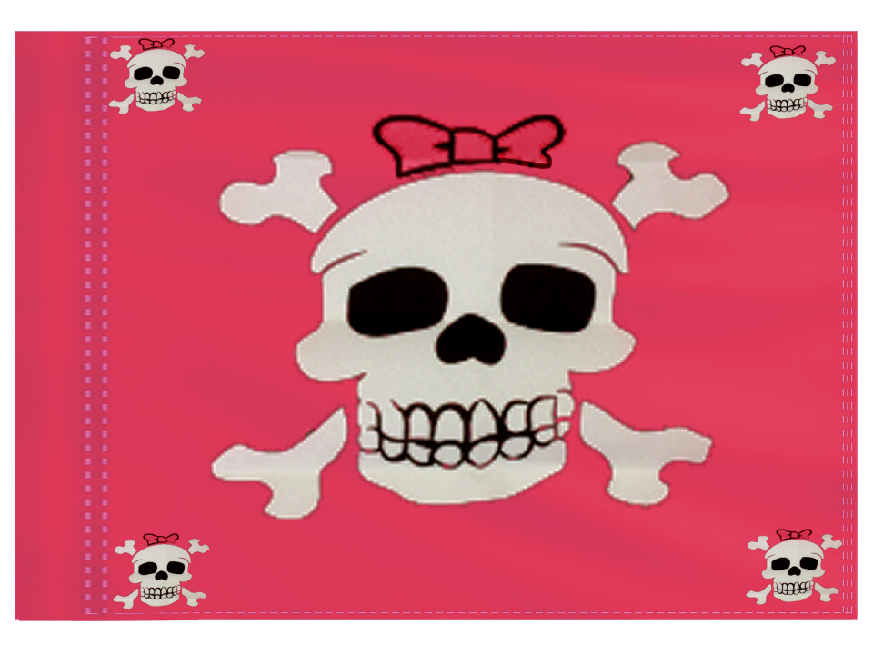 Stiffy Small 12 Inch Tall 18 Inch Wide Replacement Pink Skulls Flag For ...